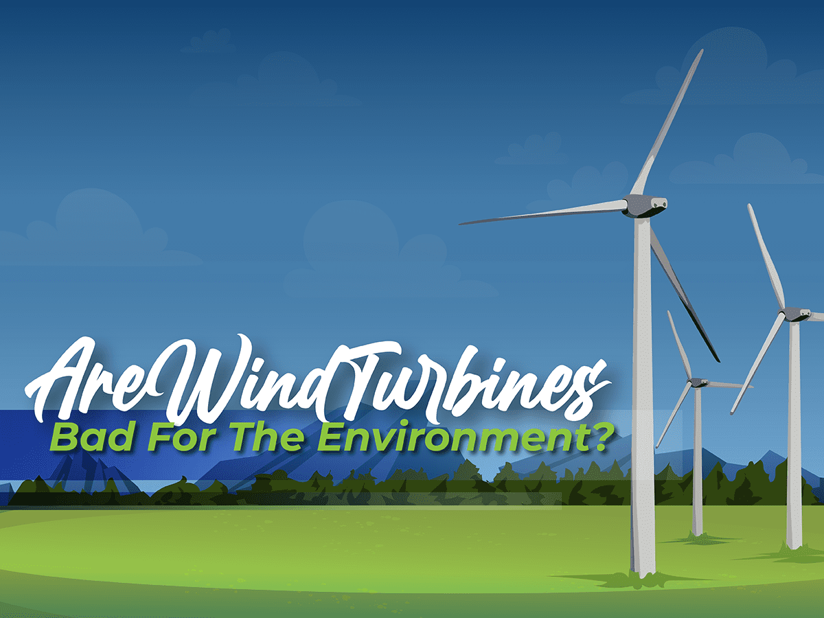 Are Wind Turbines Bad For The Environment? - Lindy Energy