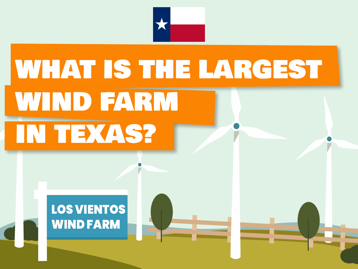 What is the Largest Wind Farm in Texas? - Lindy Energy