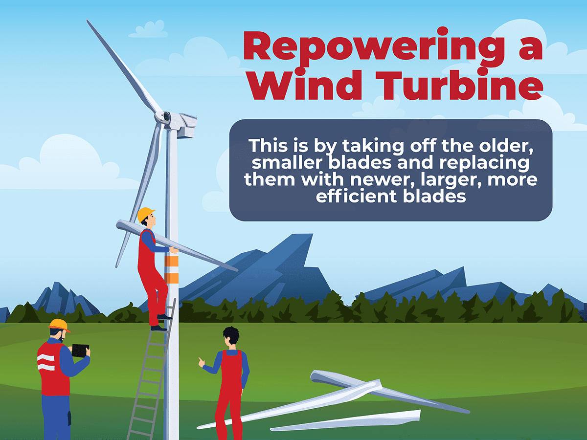 Are Wind Turbines Bad For The Environment? - Lindy Energy
